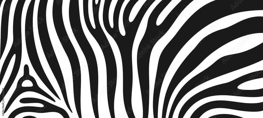 Zebra texture logo. Isolated zebra texture on white background Stock ...