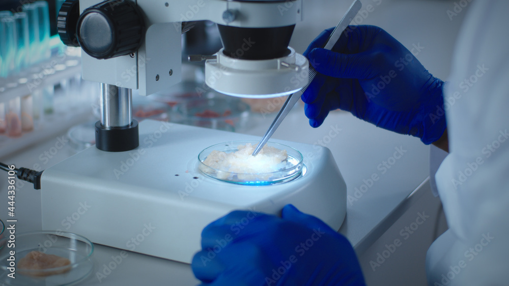 Crop scientist examining chicken cell meat under microscope Stock Photo ...
