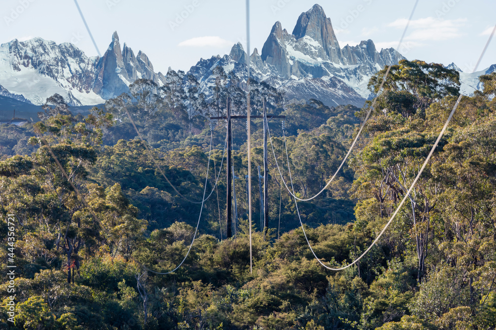 Photograph of transmission lines running across a large forest Stock ...