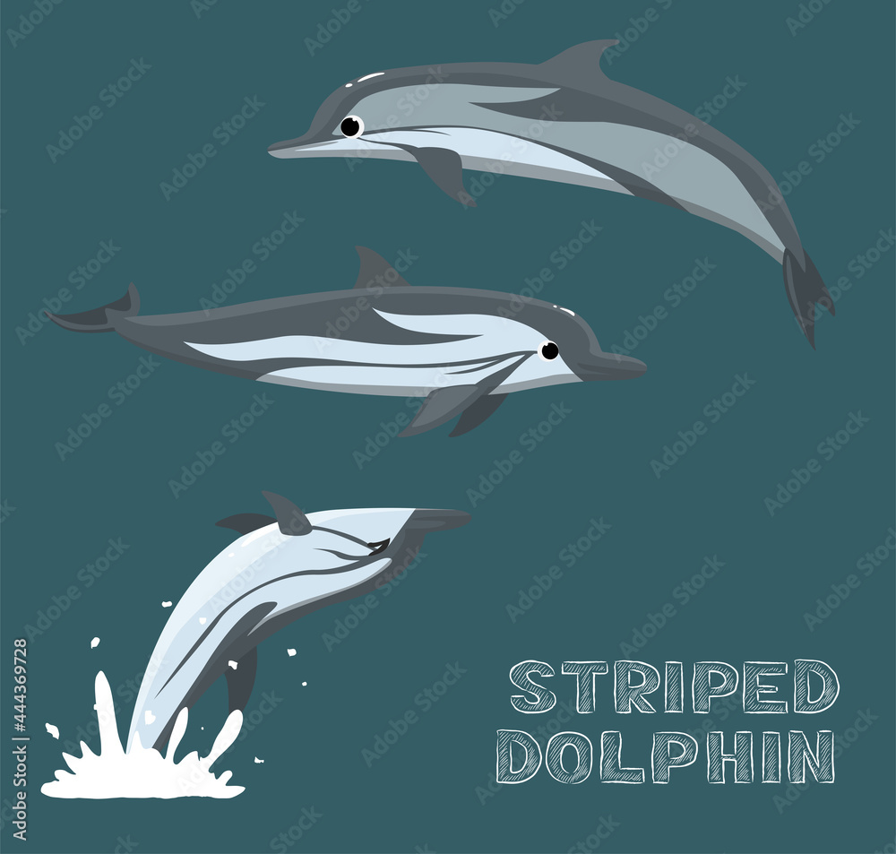 Striped Dolphin Cartoon Vector Illustration Stock Vector | Adobe Stock