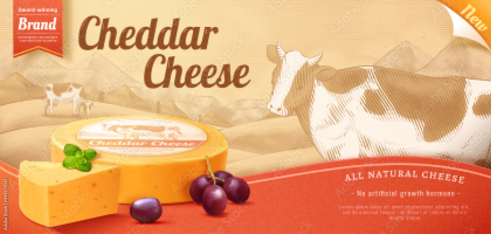Vetor de 3d cheddar cheese banner ad do Stock | Adobe Stock