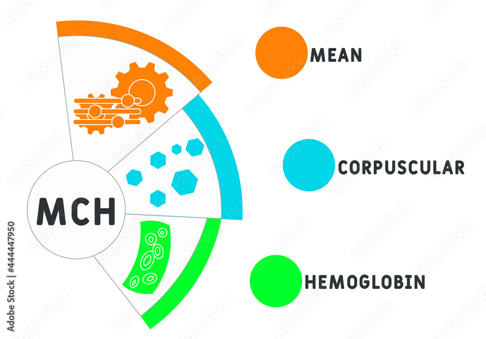 MCH - Mean Corpuscular Hemoglobin acronym, medical concept background ...