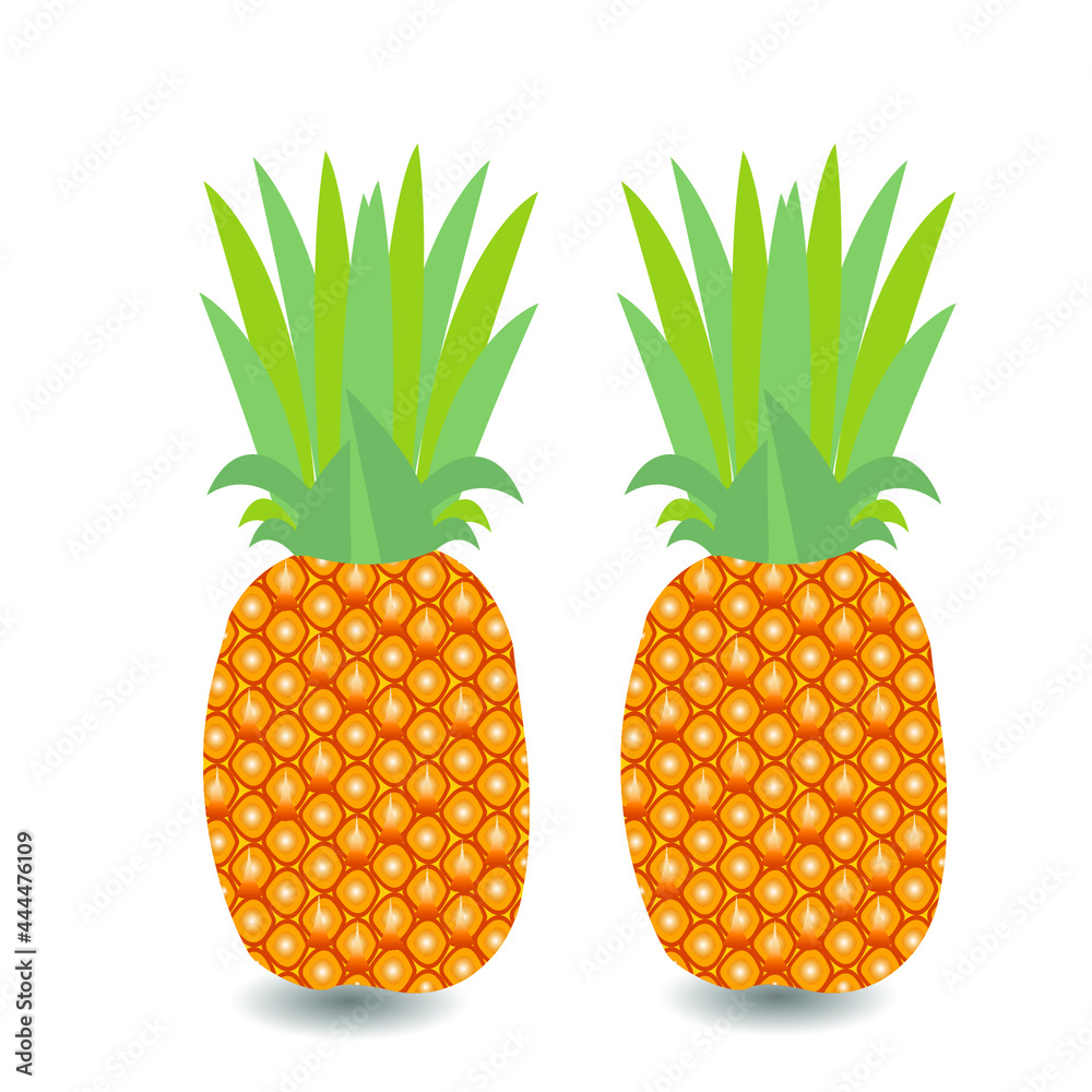 Double Pineapple in Illustration vector design. realistic pineapples in ...