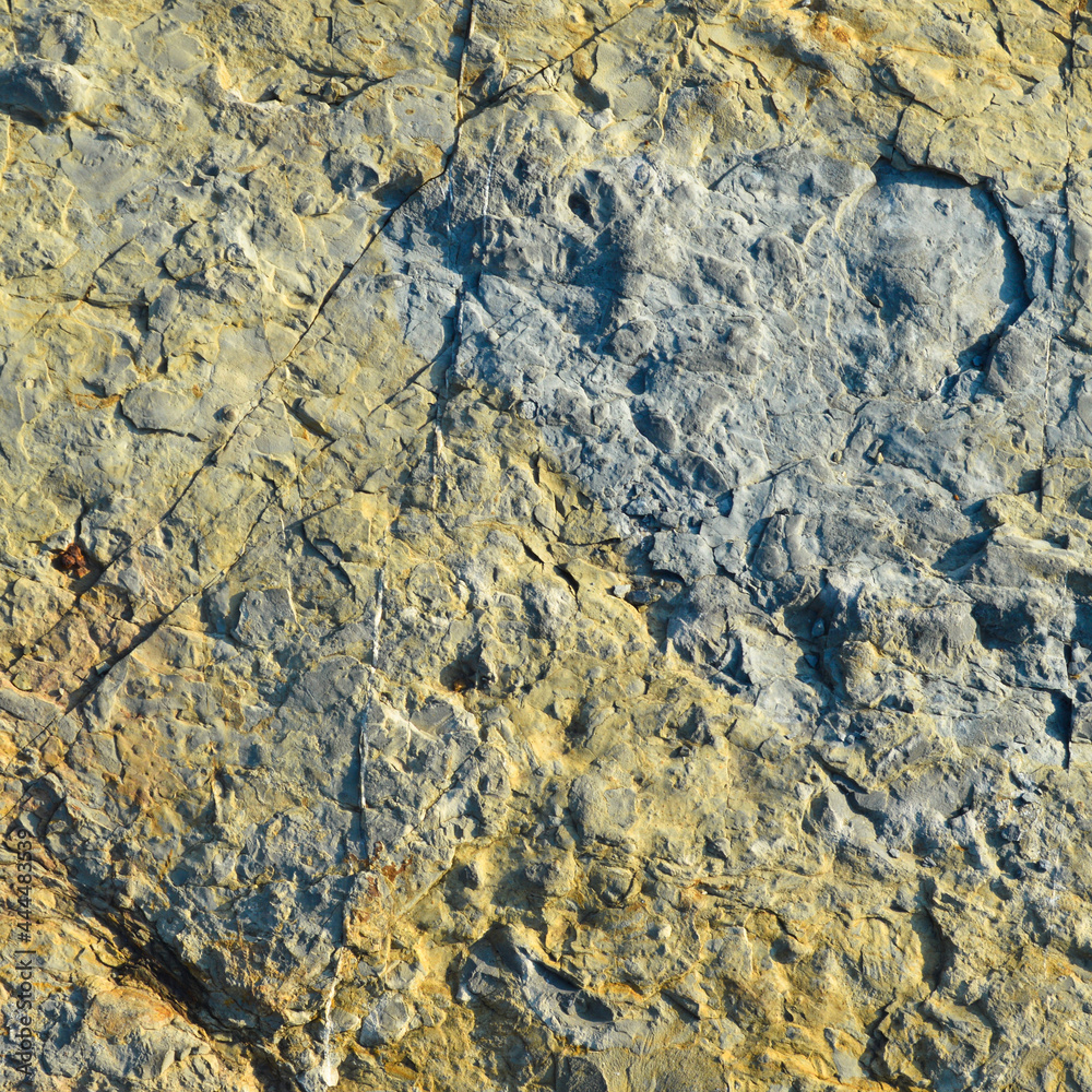 Very hard rock texture, natural stone texture Stock Photo | Adobe Stock