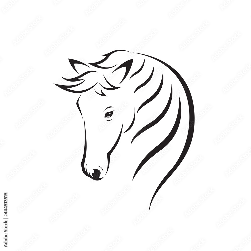 Vector of horse head design on white background. Easy editable layered ...