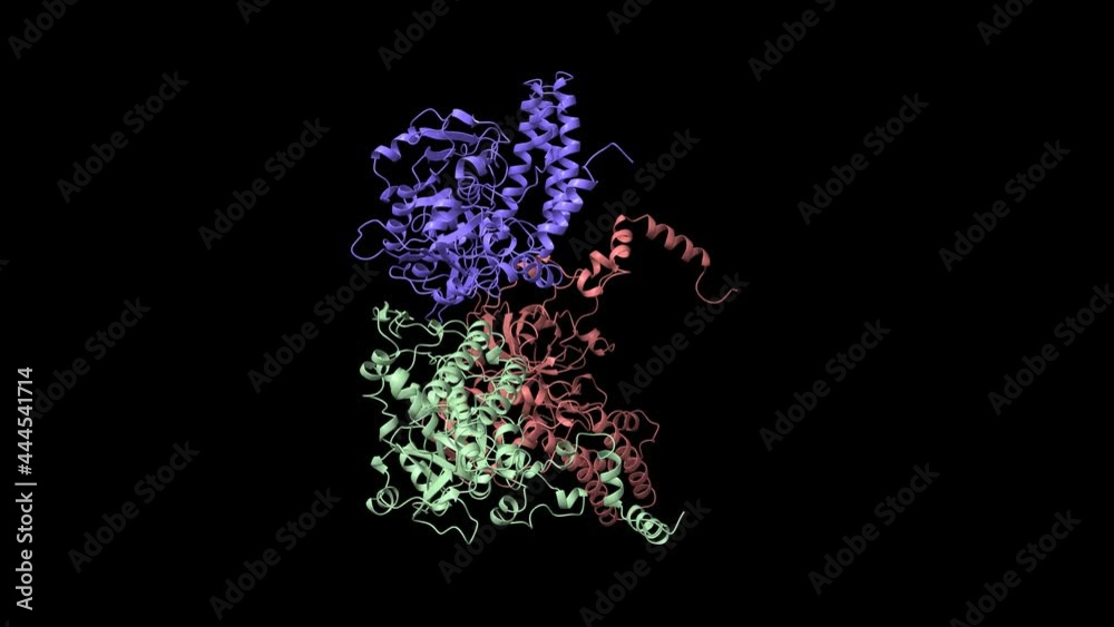 Structure of human bleomycin hydrolase, animated 3D Gaussian surface ...