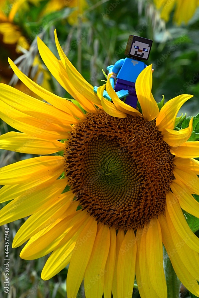 LEGO Minecraft action figure of Steve standing with diamond pickaxe on ...