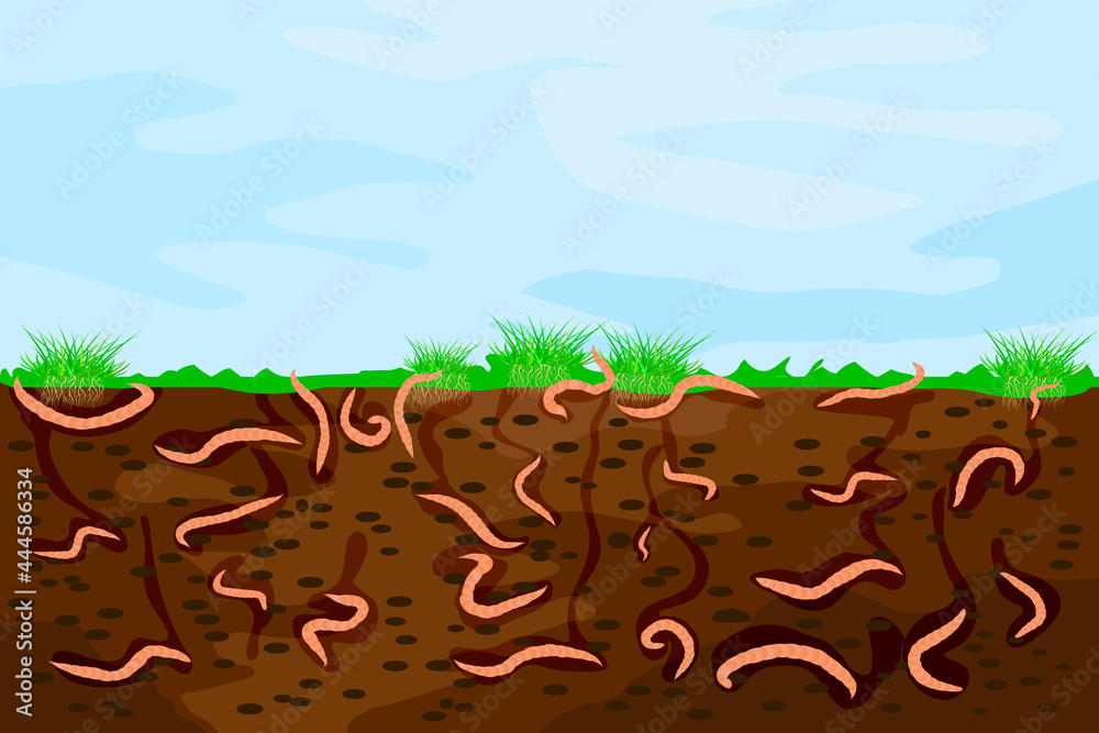 Earthworms In Soil Clipart