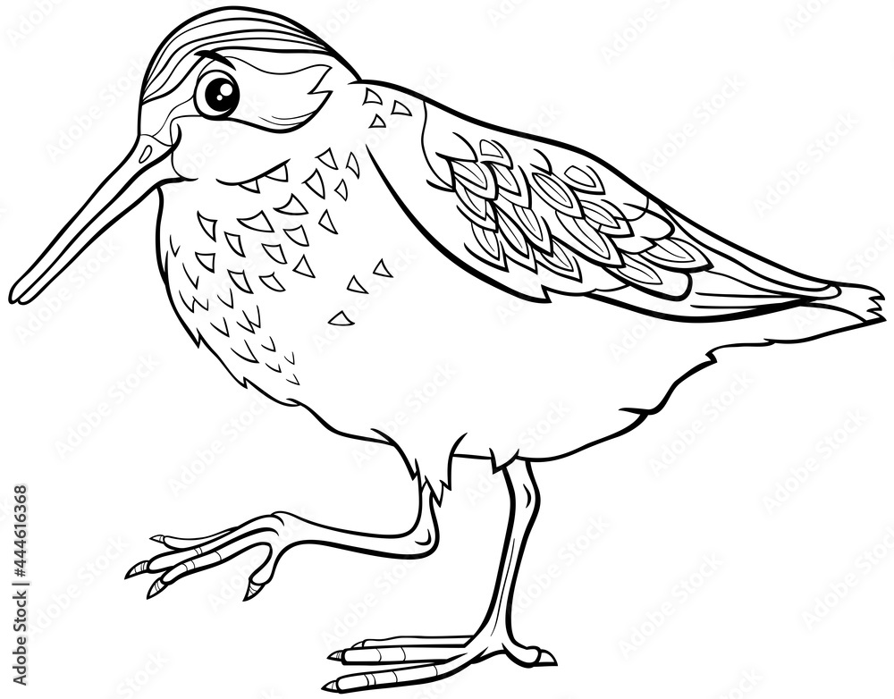 cartoon western sandpiper bird character coloring book page Stock ...
