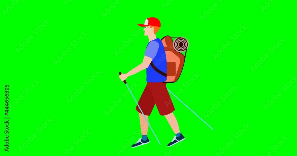 Tourist walking, walk cycle loop 2d animation in green screen vídeo do ...