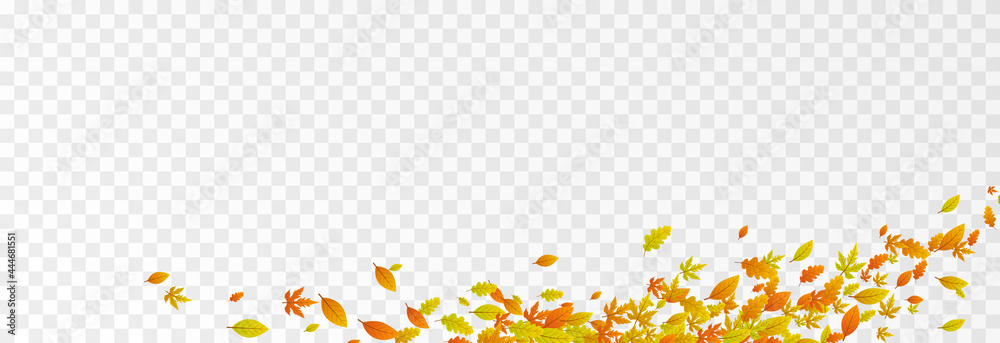 Blowing Fall Leaves Png