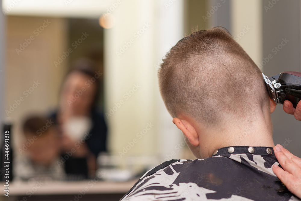 Cute boy have haircut, professional barber doing haircut. Hairdress for ...