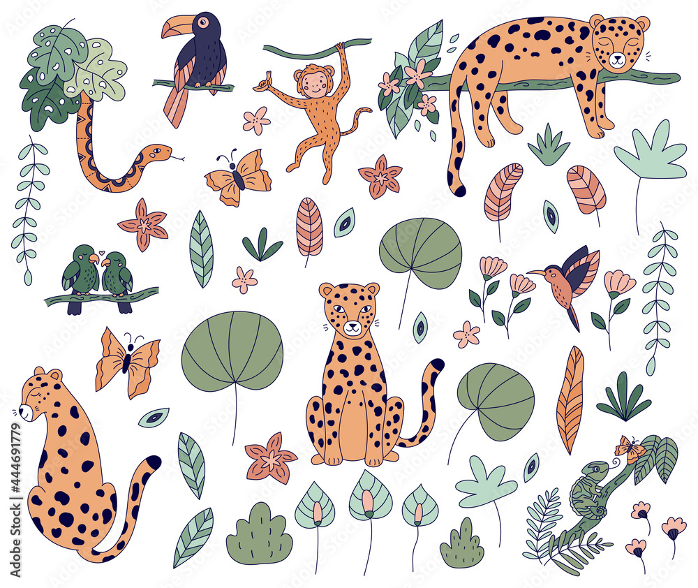 Vector set of jungle animals. Hand drawn doodle leopards, toucan, snake ...