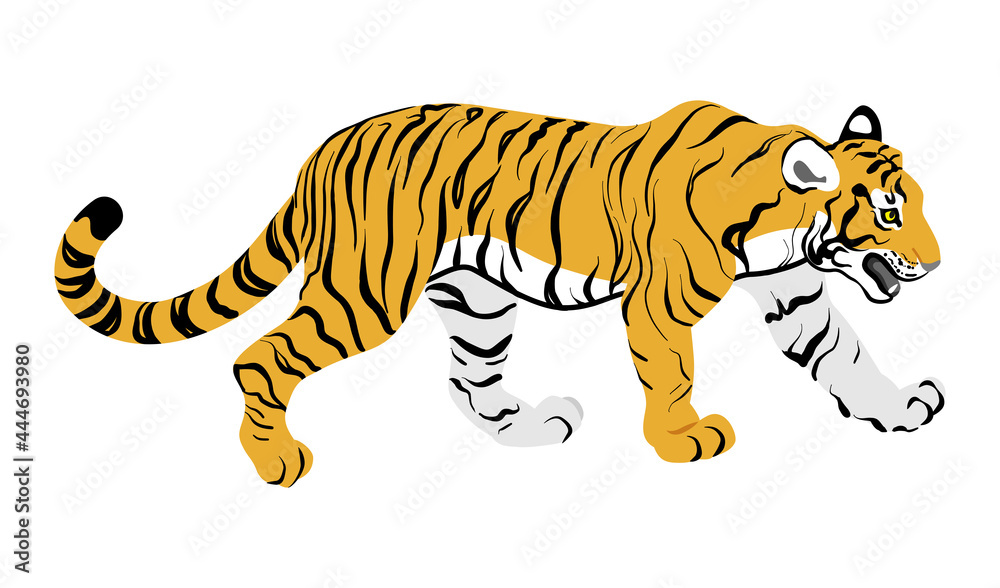 Tiger Walking Side View Drawing
