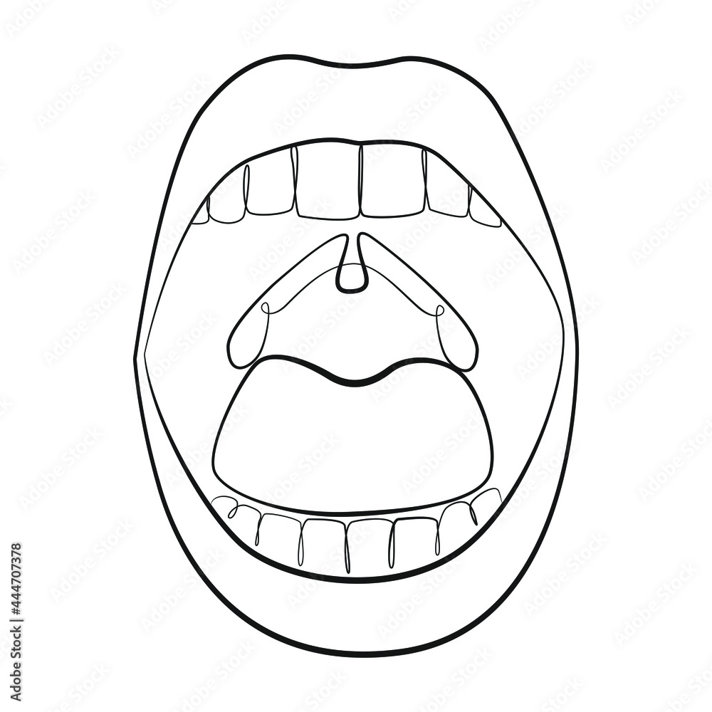 Open human oral cavity when examined by a doctor line drawing on white ...