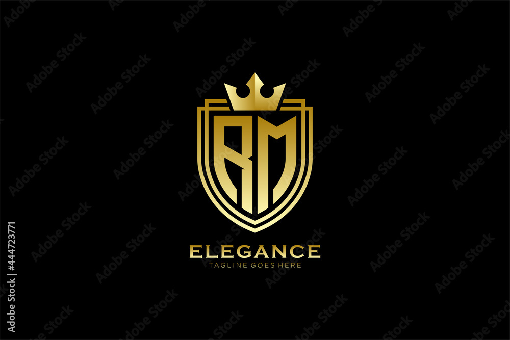 initial RM elegant luxury monogram logo or badge template with scrolls ...
