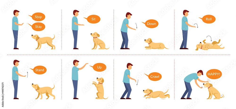 Dog Training With Hand Signals Basic Dog Command Vector De Stock 