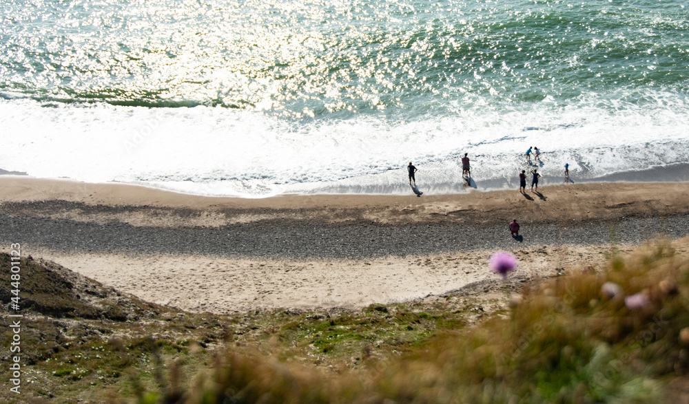 Summer in the sand dunes and at the North Sea in Denmark. Sea, Nordic ...