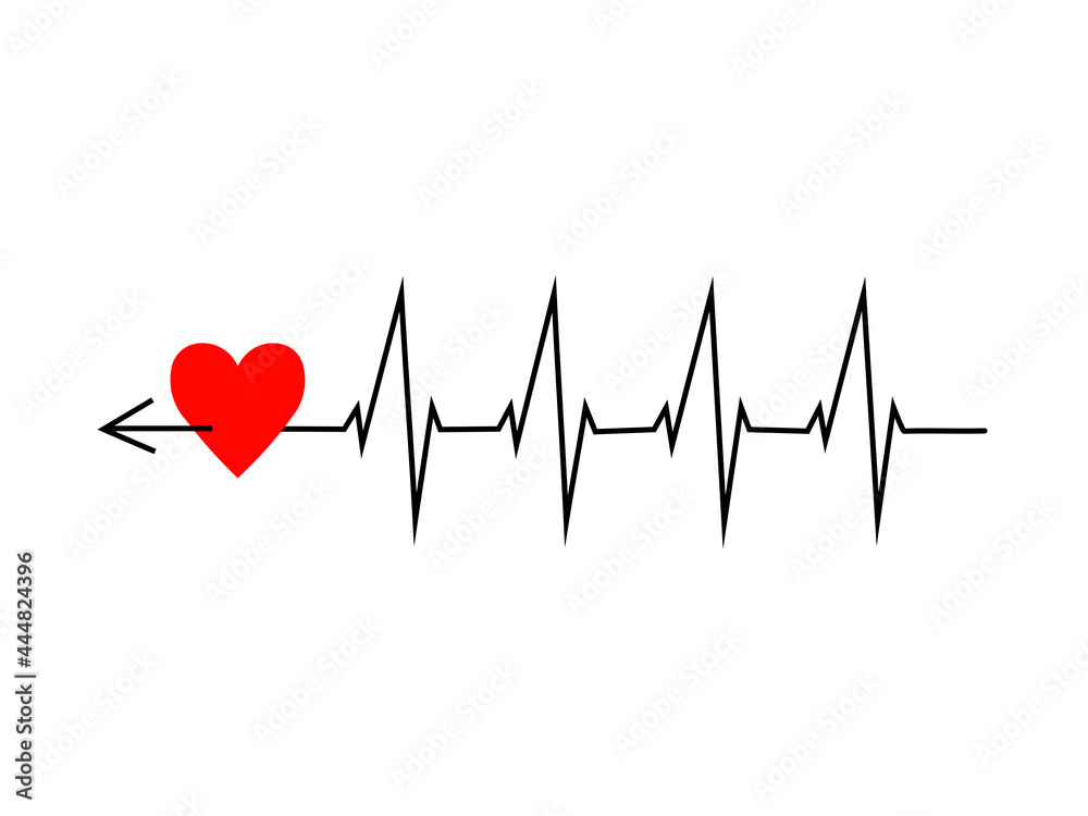 Graphic Ecg With Red Heart Echocardiogram Taken Of The Heart Heart