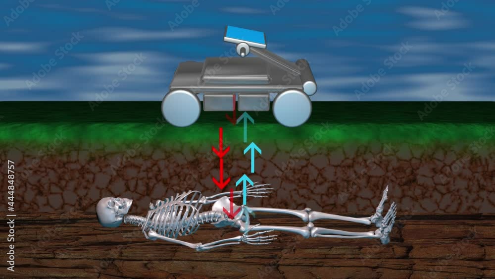 Ground penetrating radar finds human cadaver. GPR detects skeletal ...
