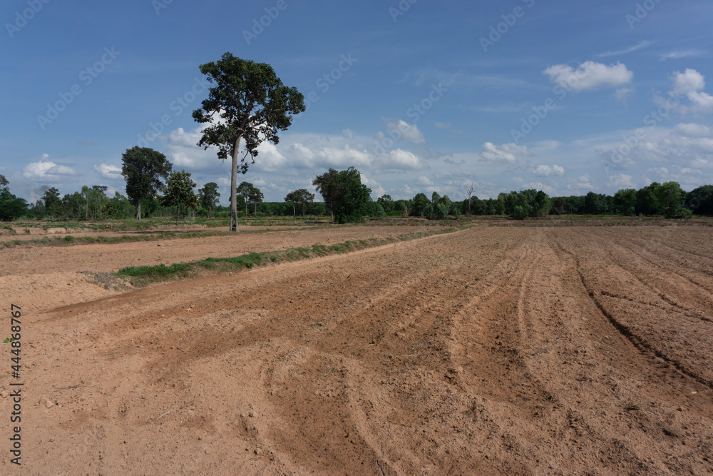 Newly ploughed rice field ready for seeding showing dryness of soil ...