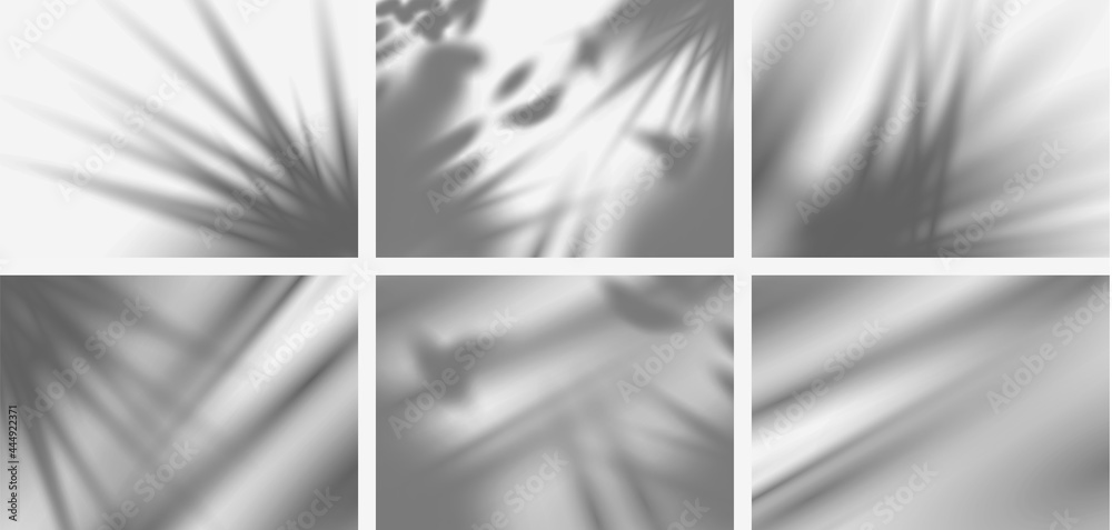 Mockup - Template. Set of nature shadow overlays. Transparent realistic ...