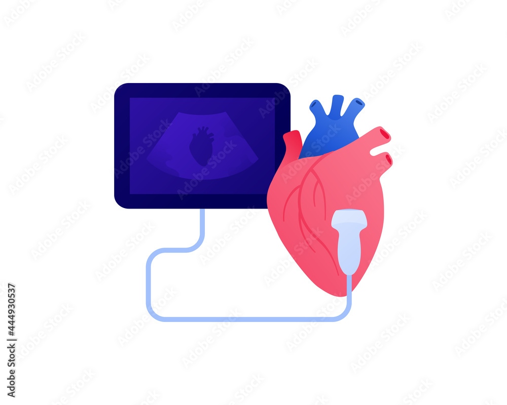 Medical ultrasound procedure concept. Vector flat healthcare ...
