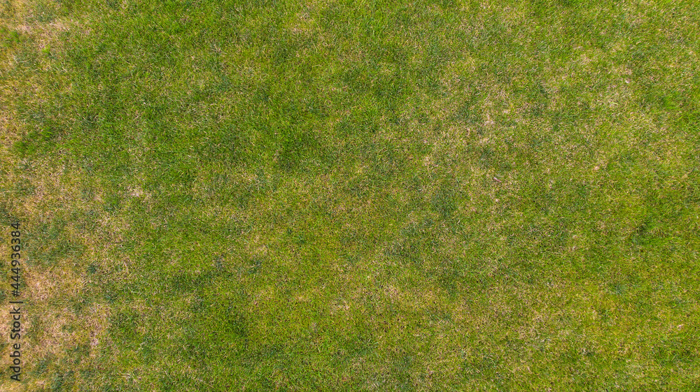 Foto de Lawn grass texture background. Top view from drone. do Stock ...