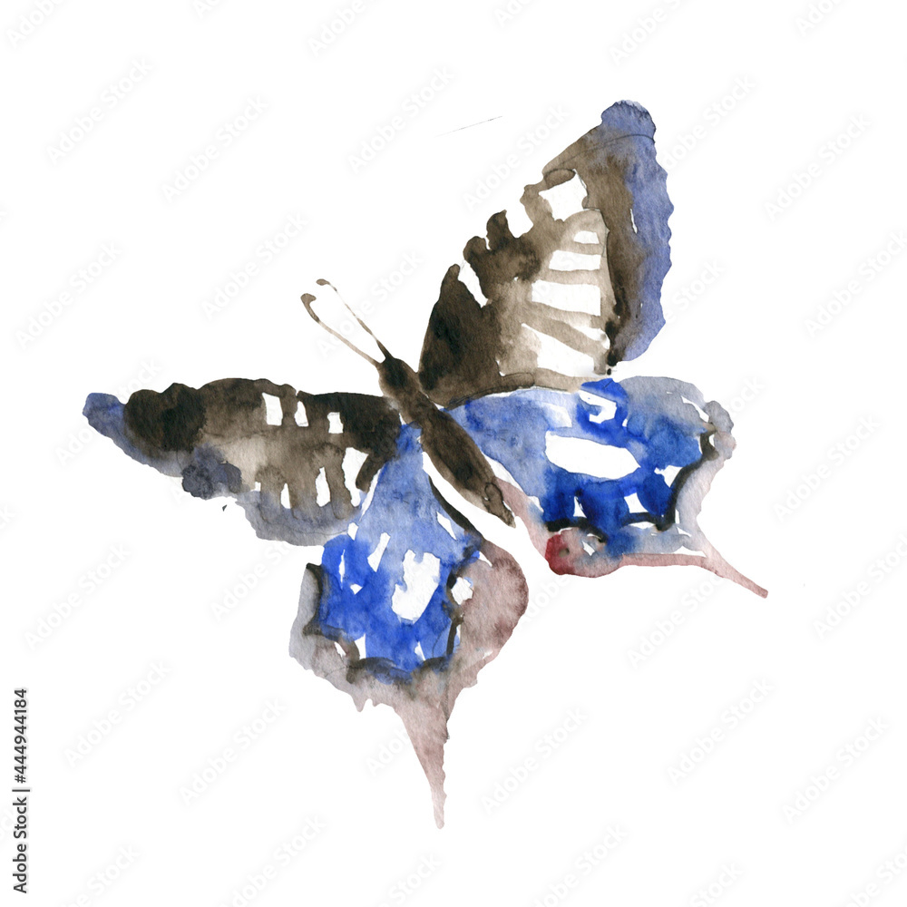 watercolor butterfly set Watercolor painting for your design Stock ...