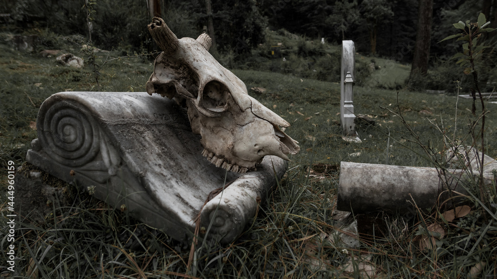 Symbols of death. A ruined grave with a skull. An old tombstone Stock ...