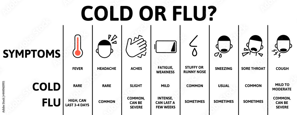 Cold and flu symptoms table chart. Infographic poster with text and ...