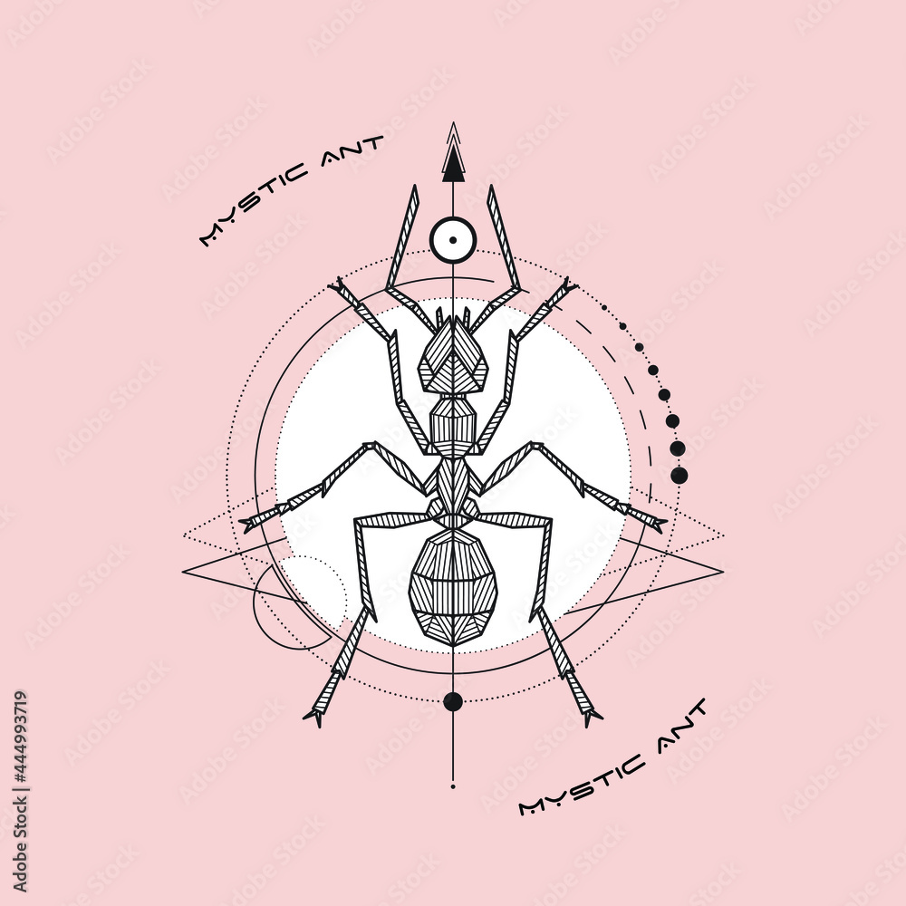 Mystic Ant Geometric Drawing Tattoo or Logo. Blackwork Art. Stock ...