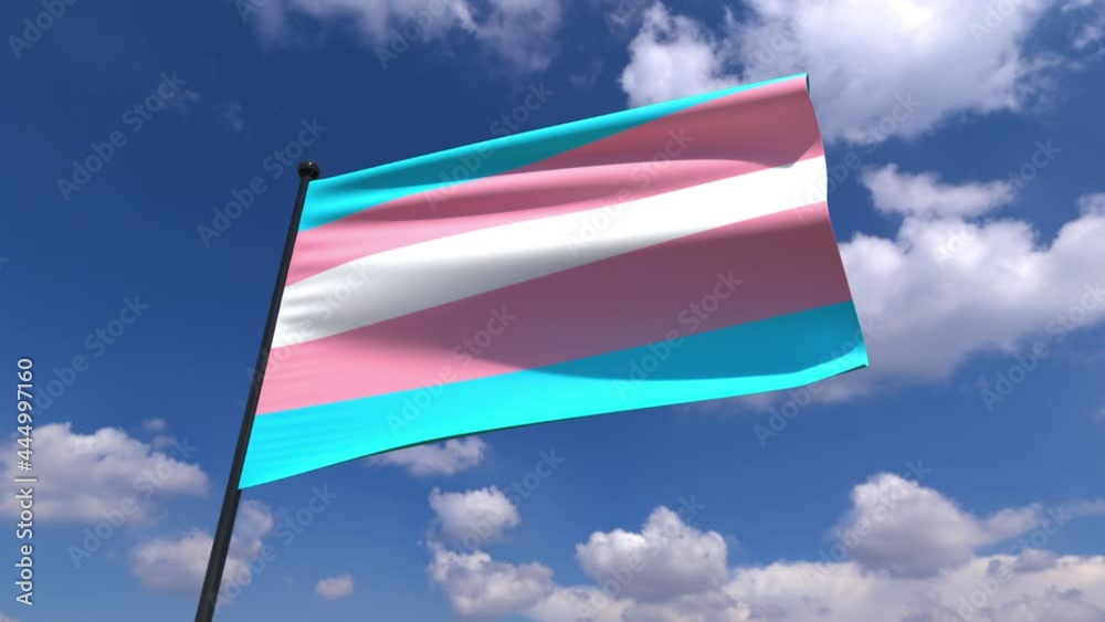 Transgender Pride Flag Waving. a transgender pride flag waving in front ...