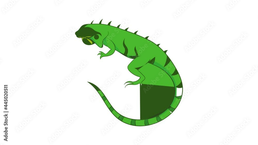 Iguana icon animation cartoon best object isolated on white background ...