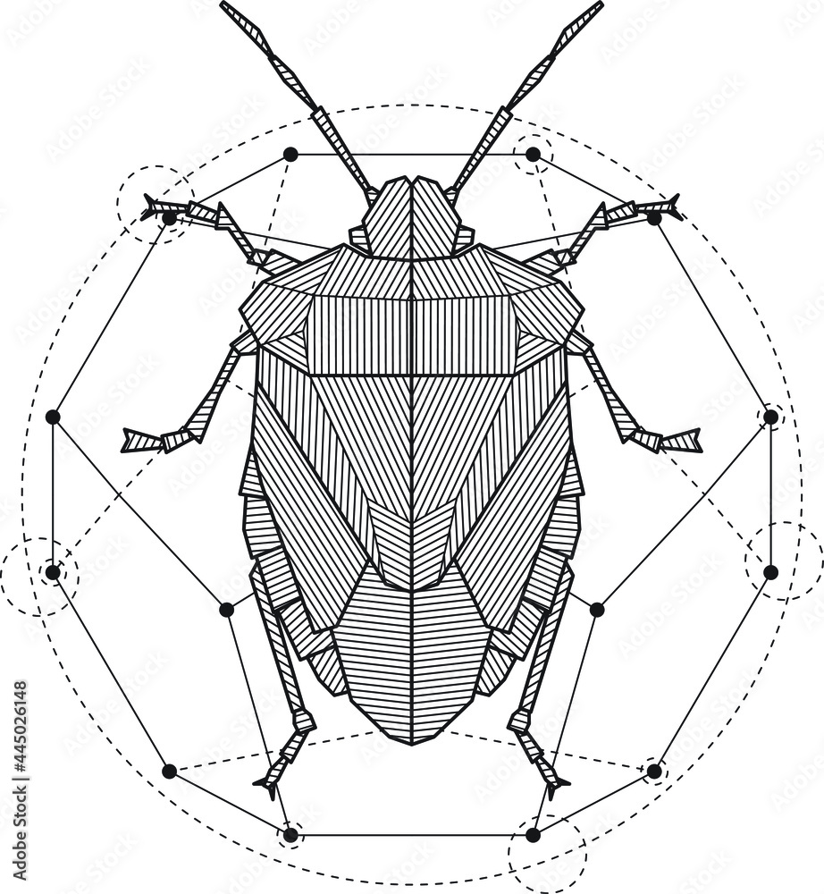 Mystic Forest Bug Geometric Drawing Tattoo or Logo. Blackwork Art ...