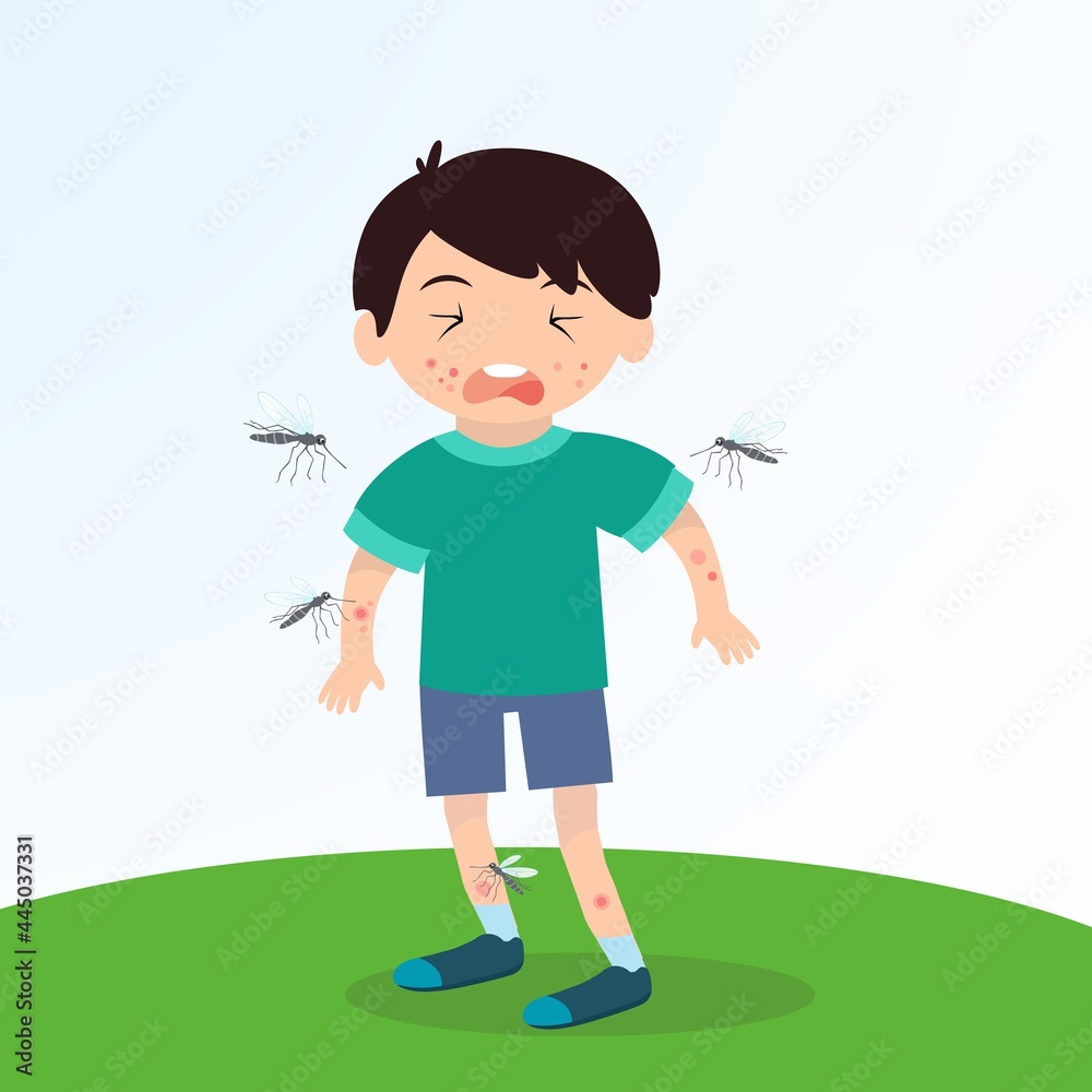 Inflammation from a mosquito bite on a child's skin, fright and an ...