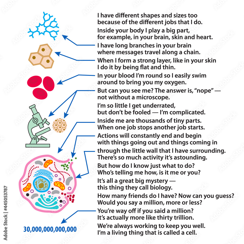 Cell poem for kids Stock Vector | Adobe Stock
