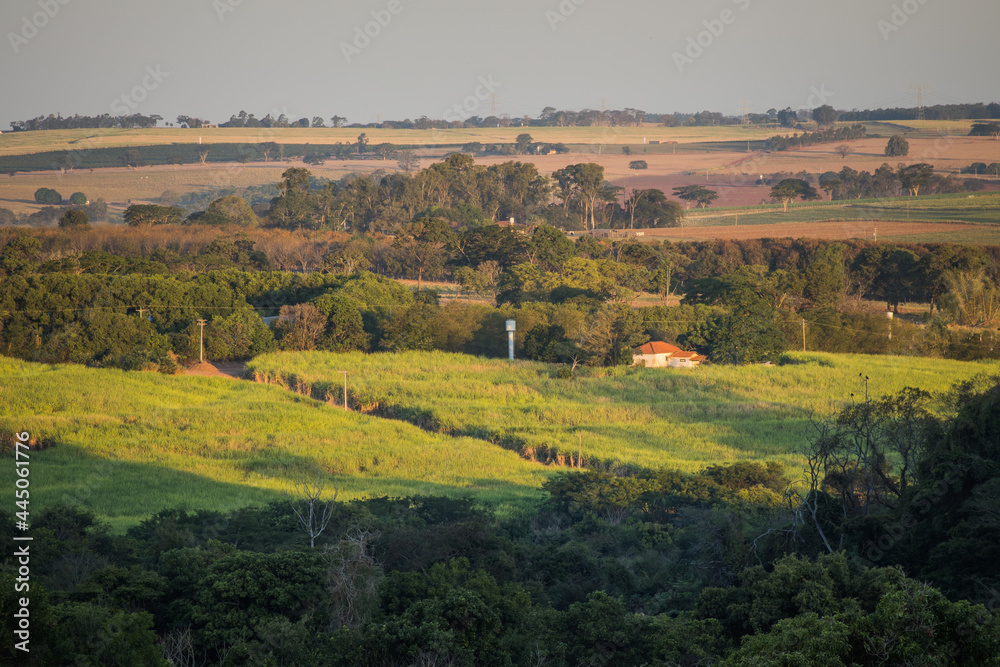 Rural landscape in the interior of Brazil, with trees, fences ...