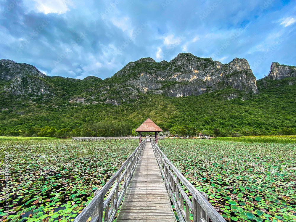 Sam Roi Yot Freshwater Marsh, Walk over the marsh, Bueng Bua Wood ...