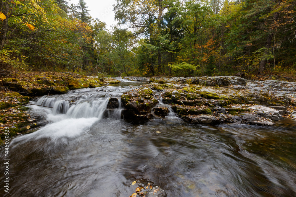 Sikhote-Alin Biosphere Reserve. Far Eastern autumn taiga. A clean ...