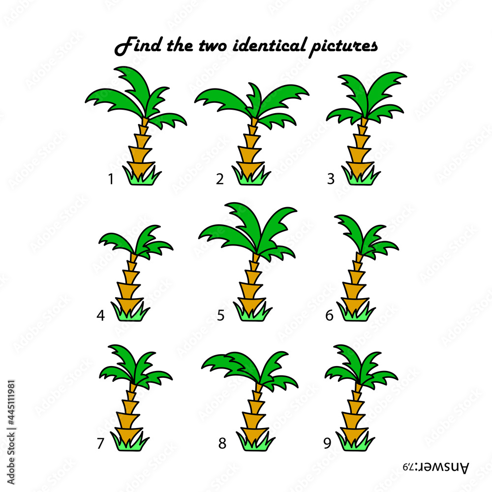 Find two identical pictures. Palm trees, tropical plants. A puzzle game ...