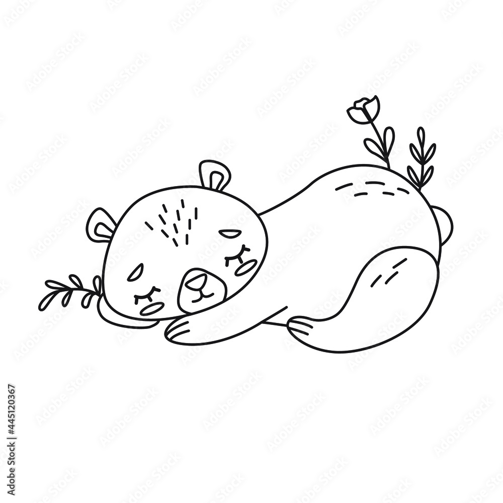 Coloring page antistress. A cute sleeping baby bear isolated on a white ...