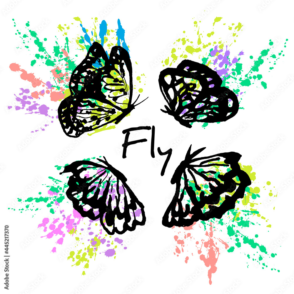 Vector linear drawn illustration with four exotic, tropical butterflies ...