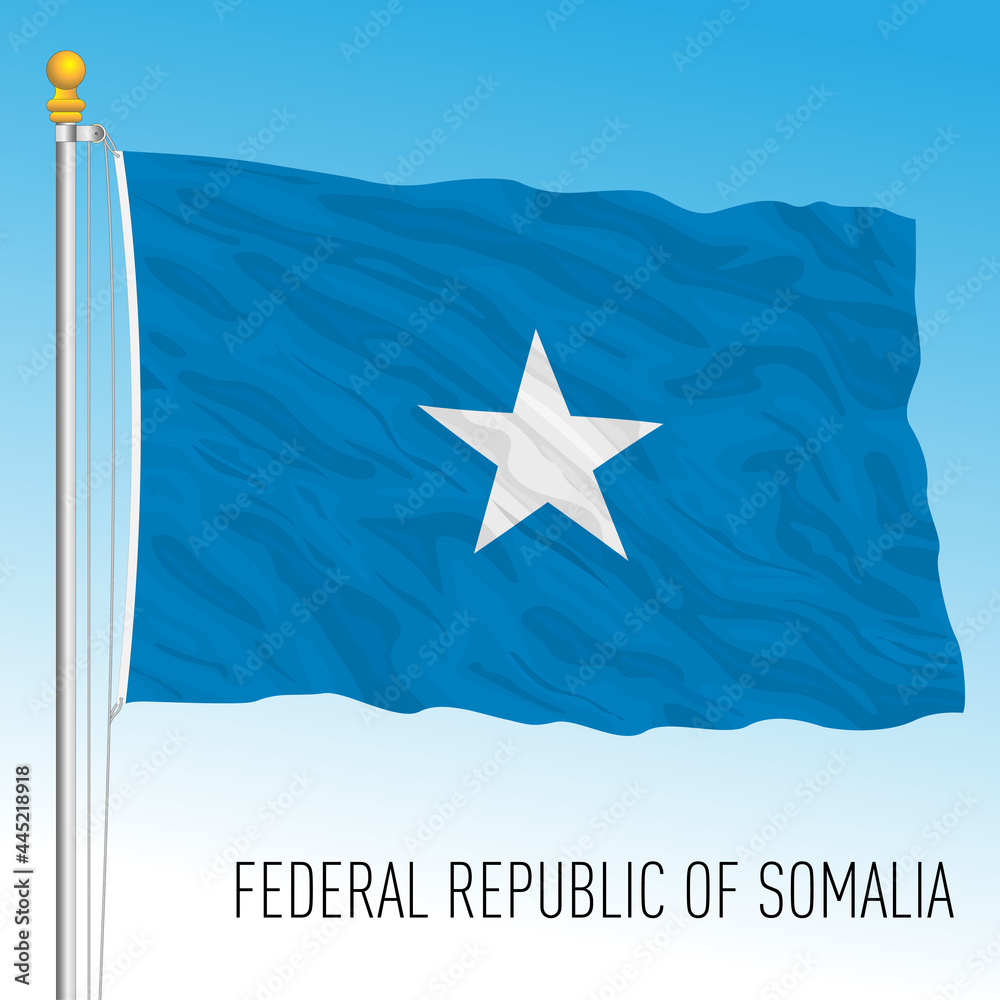 Somalia official national flag, african country, vector illustration ...