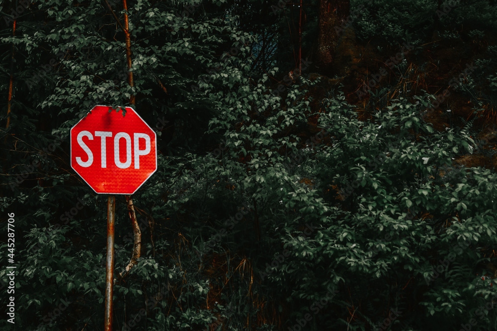 STOP road sign in front of trees Stock Photo | Adobe Stock