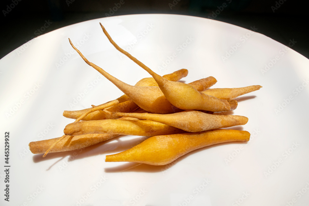 Foto de finger root,Native to tropical Southeast Asia. It is a ...