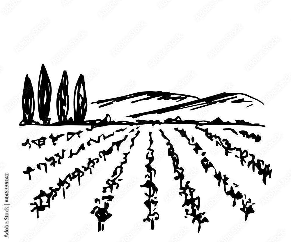 Simple vector drawing in the style of engraving. Summer landscape ...