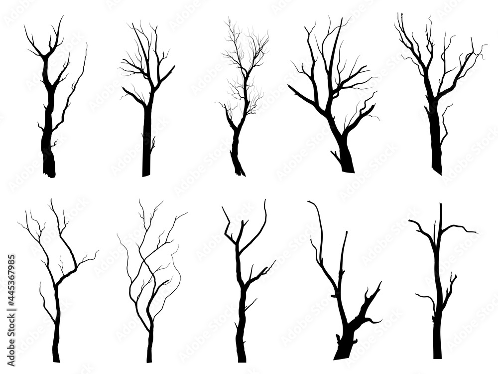 tree silhouette collection Stock Vector | Adobe Stock