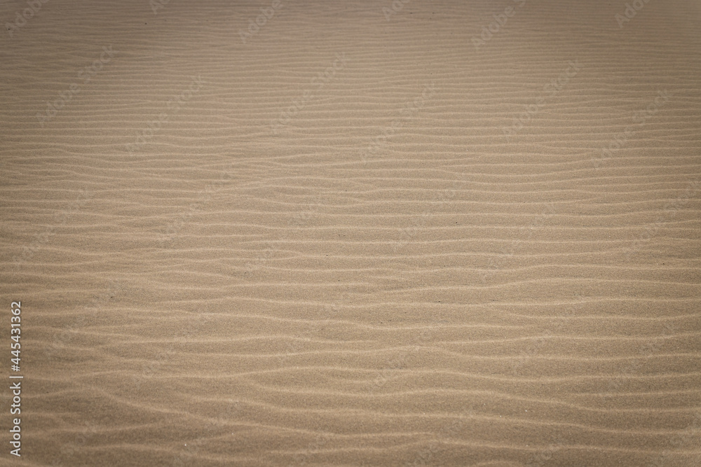 Droughty Sand Dunes Desert with Ripple marks (sand waves). In geology ...