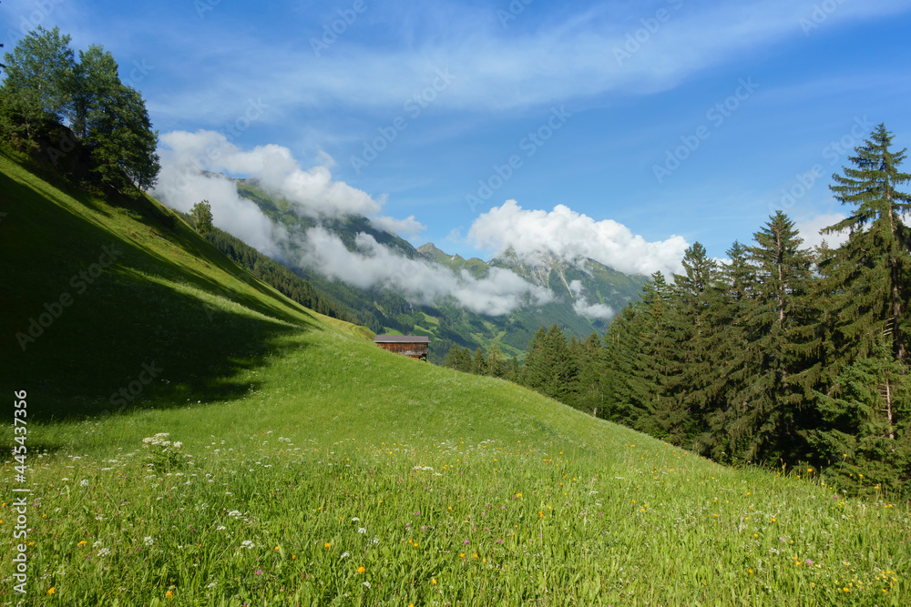 Almwiese mit Berghütte und wolkenverhangenen Bergen im Hintergrund ...
